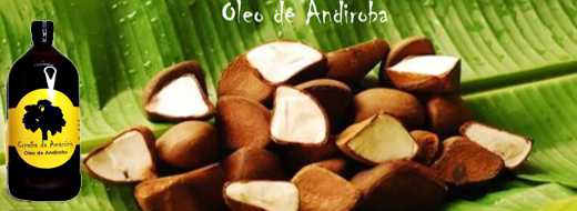 Benefícios do óleo de Andiroba - Óleo de Copaíba da Amazônia